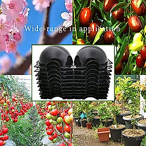 Markeny Reusable Plant Rooting Ball, Plant Propagation Root Ball Effective Invisible Propagation(15PCS)