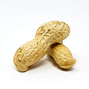 Sky | Premium USA Grown, Raw Peanuts in Shell For Squirrels, 2.5lb | Unsalted Peanuts In The Shell, Boiled Peanuts, Jumbo Raw Peanuts in the Shell, Squirrel Peanuts in Shell Unsalted