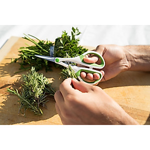 ZYLISS Herb Scissors - Trimming Weeds and Flower Buds 8.5 x 4.2 x 0.4 inches