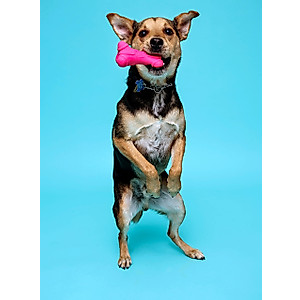 Hartz DuraPlay Bone Squeaky Latex Dog Toy for Medium Breeds, 3 Pack