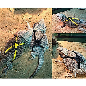 Sawyd Adjustable Reptile Lizard Harness Leash,Turtle Lizard Pet Traction Belt Bearded Dragon Accessories Soft Small Pet Animal Harness Rope -1.2M (Blue)