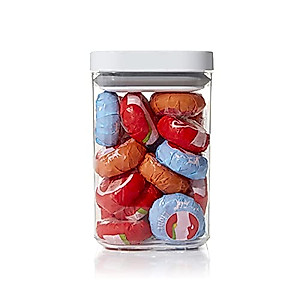 Copco Food and Organization Storage Container with Airtight Lid, 1.8-Quart, Clear