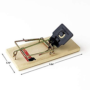 Instant Kill Mouse Snap Traps by Catchmaster - 12 Count, Ready for Use Indoors & Outdoors. Wood Double-Tension Springs Weather-Resistant Corrosion-Resistant Disposable Poison-Free Non-Toxic