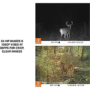 Bushnell 24MP CORE Trail Camera, Single Sensor, no glow_119938C