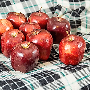 PERFECT PLANTS Red Delicious Apple Tree 1 Gallon | Live Fruit Trees for Outdoor Planting | Fast Growth Rate Produces Fruit in Year 2-3 | Sweet & Healthy Red Apples for Home Gardening