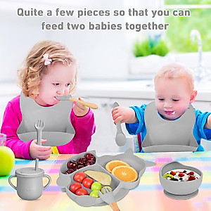 Eiwoda Baby Led Weaning Supplies Silicone Baby Feeding Set, Divided Baby Plates With Suction Baby Bowls,Bibs,Spoon,Fork And Cup with Straw, Toddler Essentials Eating Utensils For Babies