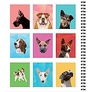 Brain Games - Sticker by Number: Dogs (28 Images to Sticker)