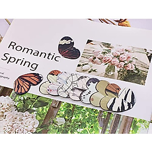 Butterfly Bookmarks Penta Angel 16Pcs Cute Foldable Butterfly Page Book Marker Clip for Student Teachers Reading School Home Office Supplies (Butterfly)