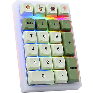 BOYI TD21 Hot Swappable Numpad,21 Keys Mini Numpad Portable Keypad Bluetooth 5.0/2.4GHz/Wired Number Pad Keyboard PBT Keycaps RGB Backlit Type-C Mini Keyboard (Matcha Green XDA Keycaps)