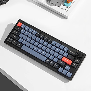 Keychron V2 Wired Custom Mechanical Keyboard Knob Version, 65% Layout QMK/VIA Programmable with Hot-swappable Keychron K Pro Blue Switch Compatible with Mac Windows Linux (Frosted Black - Translucent)