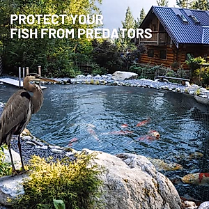 Pond Netting, 7’ x 10’ Pond Netting for Koi Ponds, Durable & Sturdy Pond Net to Catch Leaves & Debris, Drive Herons, Raccoons, Cats & Predators Away, Handy Accessories Included (3/8” Mesh)
