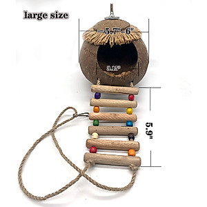 kuminamoja Coconut Bird's Nest with Ladder for Parrots Parakeet Conures Cockatiel and Small Animals (Large)