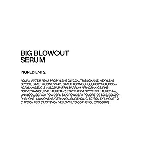 Redken Big Blowout Heat Protection Jelly Serum for All Hair Types | Volume for Fine Hair | Blowdry Gel, 3.4 fl. oz.