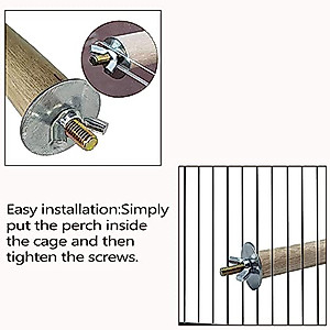 Tfwadmx Parakeet Perch Bird Stand Toy Natural Wood Platform Grinding Nail Cage Accessories for Small Birds Cockatiels Lovebirds Budgie Parrots 8 PCS