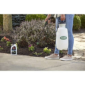 Ortho GroundClear Weed and Grass Killer Super Concentrate - Kills Weeds and Grass, Kills to the Root, Starts Working Immediately, for Patios and Landscaped Areas, 32 fl. oz.