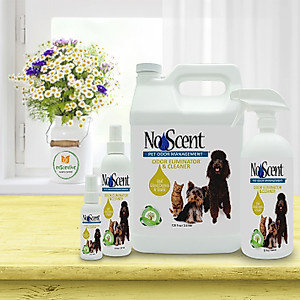 No Scent Anal Gland Express & Skunk Spray Pet Fur Cleaner for Dogs & Cats (8 Fl Oz / 237 mL)