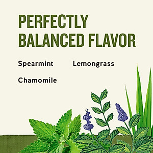 Celestial Seasonings Herbal Tea, Sleepytime, 40 Count (Pack of 6)