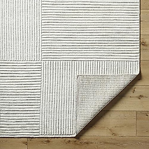 Hauteloom Aliza Wool Living Room, Bedroom Area Rug - Contemporary - Beige, LightGray, Taupe - 8' x 10'