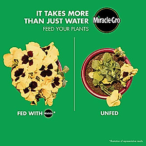 Miracle-Gro 1001921 Water Soluble Flower Food, 1.5 lb