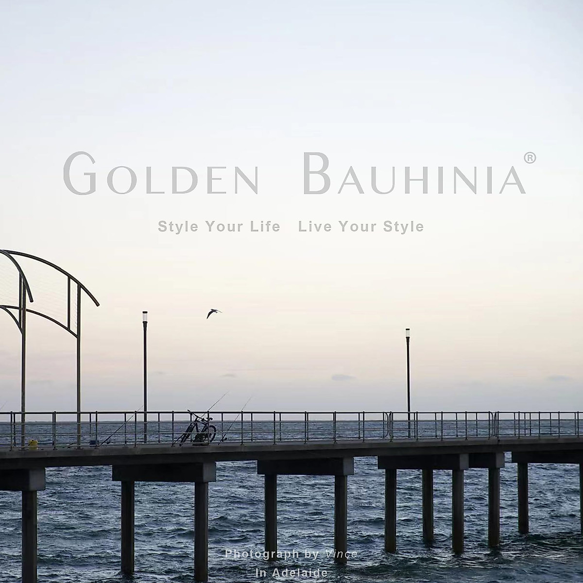 Golden Bauhinia Linen Fabric Collapsible Storage Bins with Lids - Multi-Purpose Organizer Containers for Home, Bedroom, Closet, Office, and Nursery (17.3’’x 11.8’’x 11.6’’)