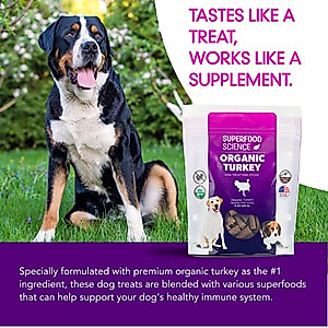 Superfood Science All Natural Organic Turkey Dog Treats with Healthy Human Grade Ingredients, Made in USA, Gluten-Free Training & Rewarding Snacks for Small, Medium, and Large Dogs, 5 Oz, Mini Sticks