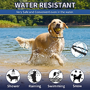 4 Pack Flea Collar for Dogs, Flea and Tick Collar for Dogs Puppies, 32 Months Flea and Tick Prevention for Dogs, Dog Flea Collar, Dog Flea and Tick Treatment-Black and Purple