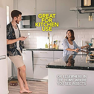 Raid Ant and Roach Killer Aerosol Spray with Essential Oils 11 Ounce (Pack of 2)