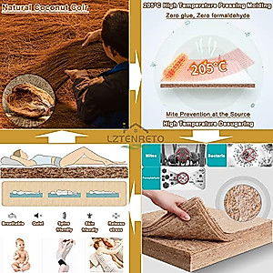 LZTENRETO Firm Coir Mattress, 3E Coconut Coir Mattress Pad, Quiet Coconut Palm Mattress, Thick Coir Mattress Pad in 6cm,9cm,11cm, Foldable (White-B,Queen 9cm)