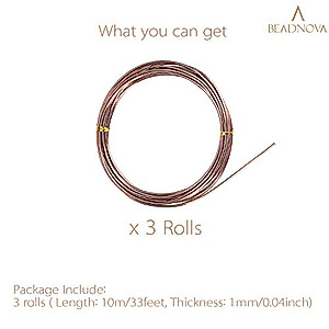 BEADNOVA Bonsai Tree Wire 98 Feet Copper Aluminum Wire Bonsai Tree Training Wire for Indoor and Outdoor Bonsai Plant (Copper, 1mm, 30m)