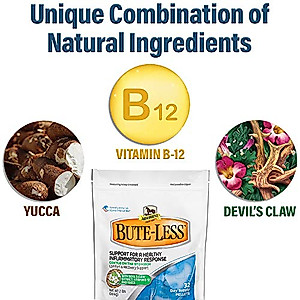 Absorbine Bute-Less Comfort & Recovery Supplement Pellets, Healthy Inflammatory Response, 2 lb / 32 Day Supply
