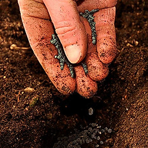 Jobe’s Organics 09026 Fertilizer, 4 lb