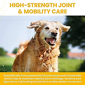 Vetzyme High Strength Flexible Joint Tablets 30