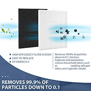 C545 Replacement HEPA Filters Compatible with Winix C545 Air Cleaner Purifier, Ture HEPA Filter S, Part number 1712-0096-00