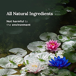 Magnificent 101 Long Lasting Lotus Flower Aromatherapy Candle | 6 Oz - 35 Hour Burn Time | Paraffin Free, All Natural Soy Wax Candle for Desire Surrendering, Manifestation & Purification