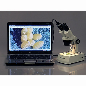 AmScope 5.0 MP USB Still & Live Video Microscope Imager Digital Camera + Calibration Kit