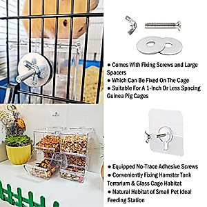Hamster Automatic Feeder Food Dispenser Small Animals Food Pellets Bowl for Crate and Aquarium Glass Cage Small Pet Natural Habitat Ideal Feeding Bowl /400ml