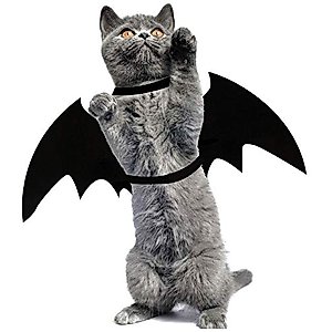 boxod Pet Cat Bat Wings for Halloween Party Decoration,Cat Costume Bat Wings,Dog Costume Bat Wings Cosplay for Dogs and Cats,Cute Puppy Cat Dress Up Accessories