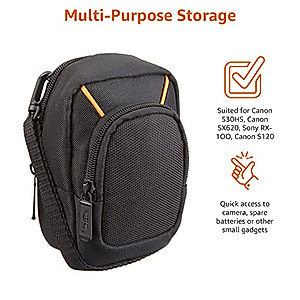 Amazon Basics Large Point and Shoot Camera Case - 6 x 4 x 2 Inches, Black