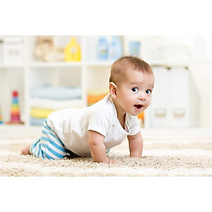 Bumworks Handheld Bidet Cloth Diaper Sprayer for Toilet | Bum Gun Butt Washer, Hand Held Bidet Hose Attachment Water Jet Spray Set | Baday Toilet Kit (Bedit Toilet Badae Biday Boday Toilet Seat)