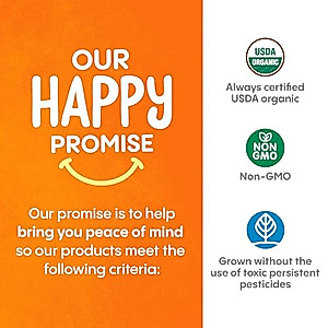 Happy Tot Organics Fiber & Protein Soft-Baked Oat Bars Organic Toddler Snack Banana & Carrot, 0.88 Ounce Bars, 5 Count Box (Pack of 6)