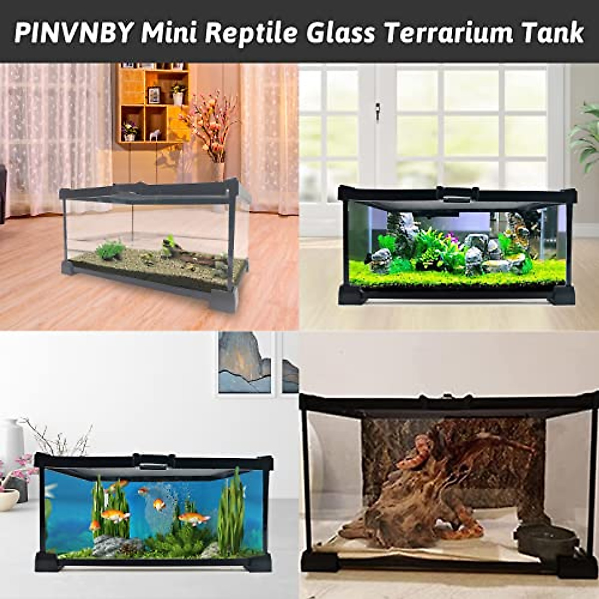 PINVNBY Reptile Glass Terrarium Ball Python Tank 12"x8"x6" Micro Habitat Terrarium Enclosure Amphibians Tank Cage Full View Visually Appealing for Small Reptiles,Spiders,Leopard Gecko