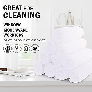 SWEET DOLPHIN Kitchen Dishcloths Dish Towels Rayon Made from Bamboo, Super Absorbent Cleaning Cloths, 7 x 9 Inch, 10 Pack, White