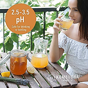 pH Test Strips for Kombucha Brewing 0-6 (0.5 Intervals) 100pc Kit