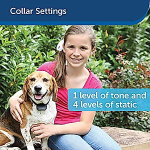 PetSafe Rechargeable In-Ground Fence for Dogs and Cats - from The Parent Company of Invisible Fence Brand – Inground Wire Not Included – Pick Your Wire Gauge Separately