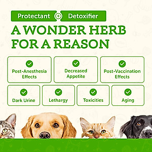 Animal Essentials Milk Thistle for Dogs & Cats - Liver Health Support, Herbal Extract, Liver Care Supplement, Organic Liquid Drops - 2 Fl Oz