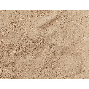 Saponin, Quillaja Extract Powder, 25g