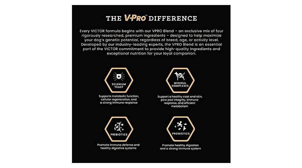Victor Hi-Pro Plus Dog Food - High Energy Dry Food for Active Dogs ...