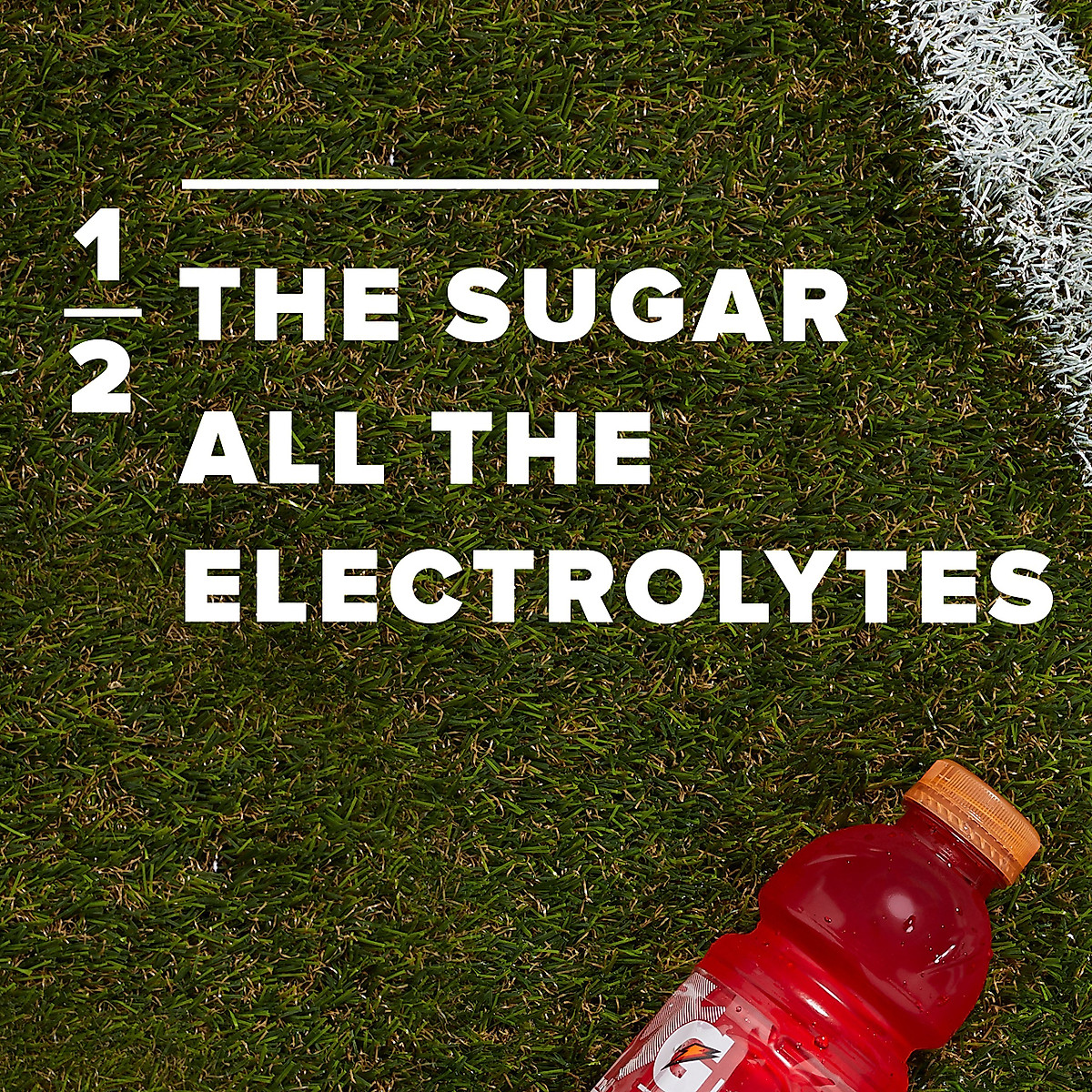 Gatorade G2 Thirst Quencher, Lower Sugar, Fruit Punch, 12 Ounce Bottles (Pack of 24)