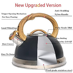 Starbbq 3.2 Quart Whistling Tea kettle for Stove Top, Stainless Steel Teapot for Stove Top with Handle and One-Touch Open and Close Button