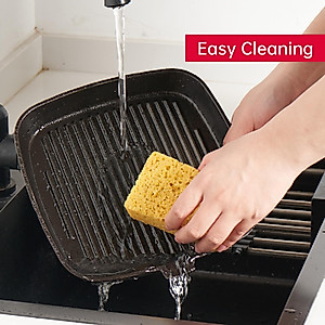 WANGYUANJI Cast Iron Grill Pan,Square Nonstick Grill Pan with Spatula and Brush,9Inch Barbecue Pan for Grill,Stove,Oven and Campfire